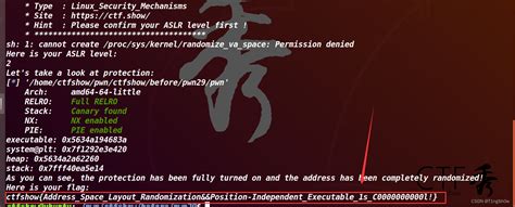 Ctfshow Pwn入门 前置基础pwn29 Pwn31位置无关可执行文件position Independent Executable