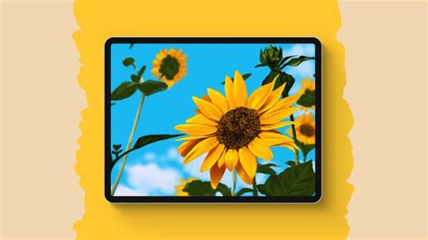 Procreate Tutorials Art With Flo