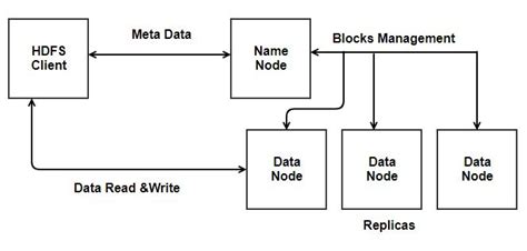 Architecture Of Hadoop Distribution File System Download Scientific