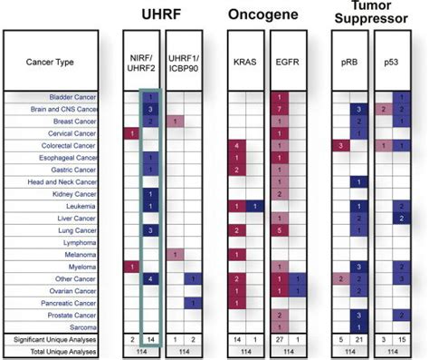 Summary Of A Cancer Outlier Profile Analysis Copa [95 97] For Nirf Download Scientific