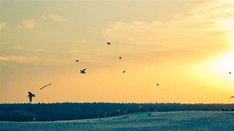 Python日志系统详解：logging模块最佳实践python 日志系统 Csdn博客