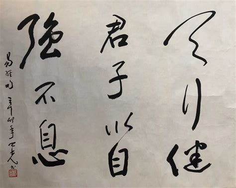 杨之光 天行健君子以自强不息 易经句 鉴证备案 雅昌艺术网——艺术品门户网站