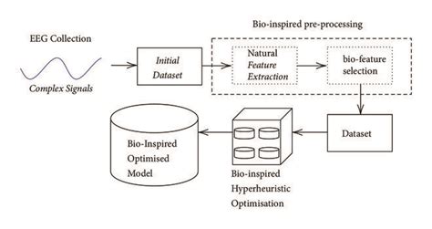 A Graphical Representation Of The Deep Evolutionary Devo Approach To Download Scientific