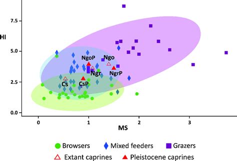 A Bivariate Plot Of Hypsodonty Index Hi Against Mesowear Score Ms
