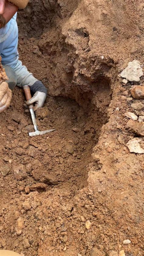 Hunting For Cephalopod Fossils In The Pierre Shale Of Colorado By