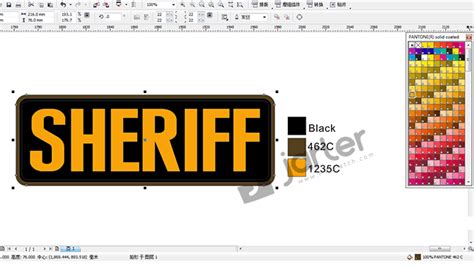 Sheriff Patches Complete Catalog In Multiple Colors And Sizes