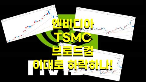 엔비디아nvidia Tsmc 브로드컴 이대로 무너지나 Youtube