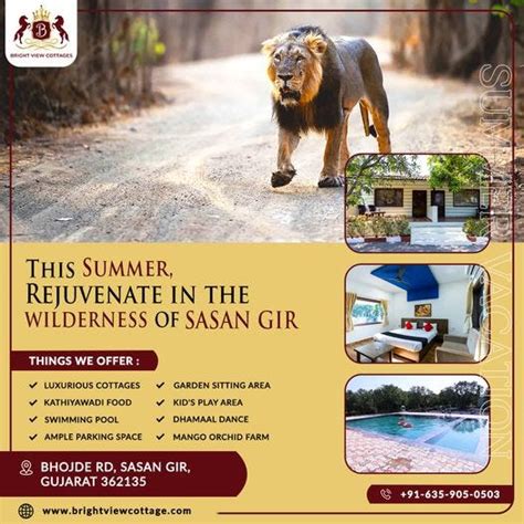 Best Resorts In Sasan Gir — Bright View Cottage By Bright View Cottage Sasan Gir Medium