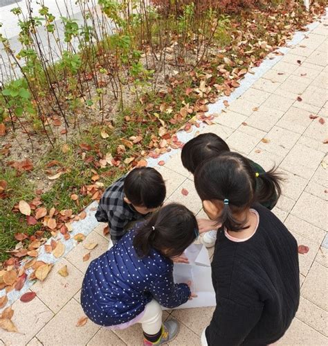 호반아이사랑♡ 만1세만2세혼합연령활동 미세먼지없는월요일활동 누구의아기일까요언어활동매칭쓰기끼적이기 미술면봉물감찍기활동엄마나뭇잎아기