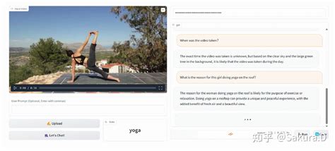 Ask Anything 让ChatGPT看懂鸡你太美 知乎