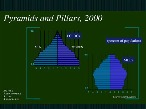 Realities New The Demographic M A R T H A F A R N S W O R T H Ppt