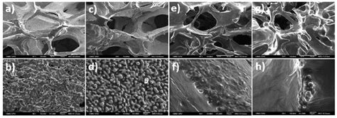 Sem Micrographs Of The Surface Of Iron Based Foams Fe Sample A B