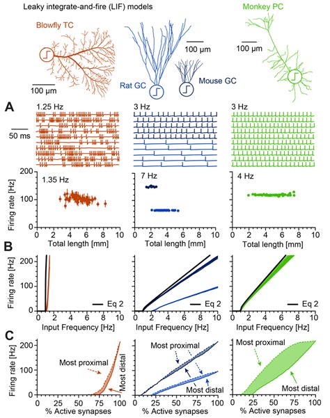 Spiking Responses To Distributed Inputs In Leaky Integrate And Fire