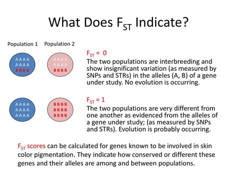 Skin Pigmentation Population Genetics Ppt Download
