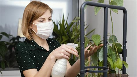 Лунный календарь садовода и огородника на 23 января 2025 благоприятный ли день для посадок и