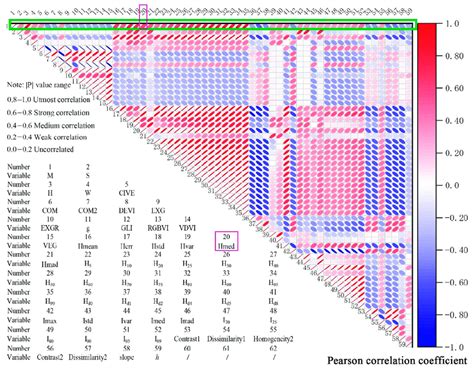 Plot Of Correlation Coefficients Between The Dependent Variable Volume