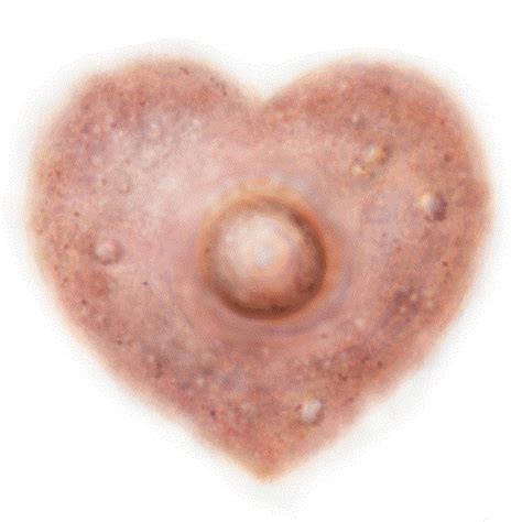 Areola Heart Tattoos Heart Tattoos Last Sparrow Tattoo