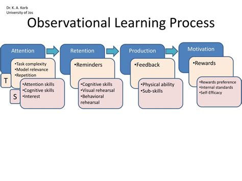Observational Learning Process