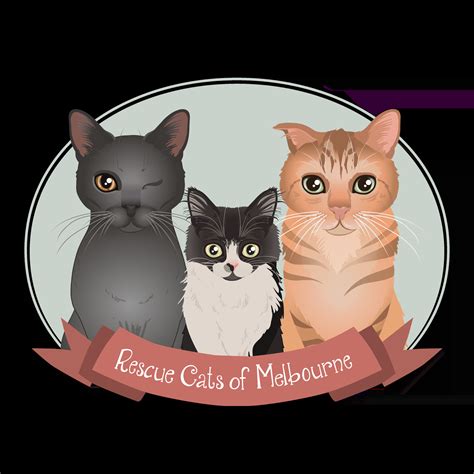 Rescue Cats Of Melbourne
