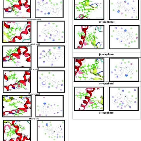 The Putative Binding Mode Analysis Of All Identified Compounds In The Download Scientific