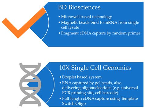 Organoid Models And Next Generation Sequencing For Bone Marrow And