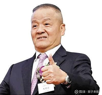中国平安往者不可谏未来犹可追 用往者不可谏未来犹可追八个字总结马明哲董事长在发布会上的发言是否可行中国平安董事长马明哲在公司业绩