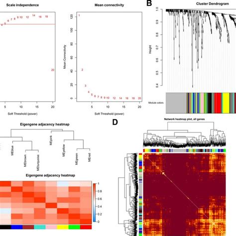 A Scale Free Fit Index For Soft Thresholding Powers B Dendrogram