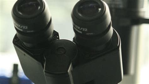 What Is A Rheostat On A Microscope Ehow Uk