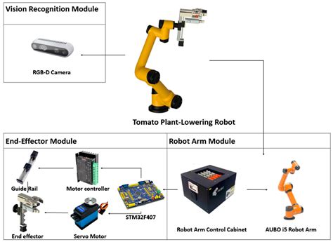 Agronomy Free Full Text Research On Robot Control Technology Of Tomato Plant Lowering In