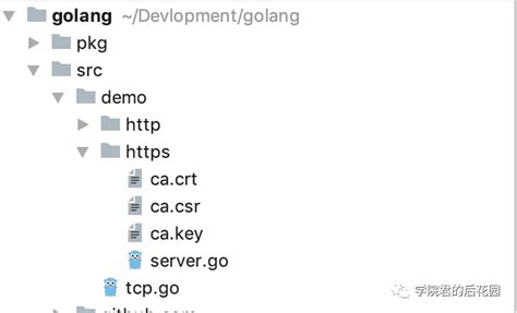 Go 语言网络编程系列（五）—— 编程篇： 请求处理 腾讯云开发者社区 腾讯云