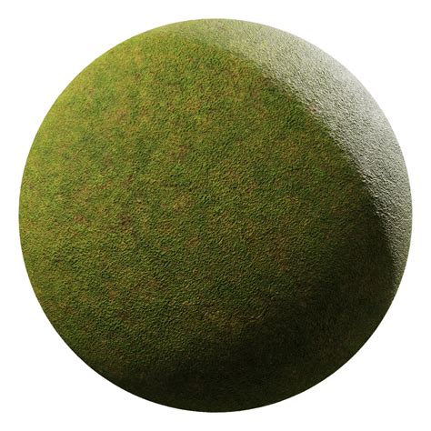 Grass Texture Poliigon