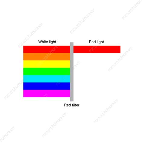 Red Filter Illustration Stock Image C050 8344 Science Photo Library