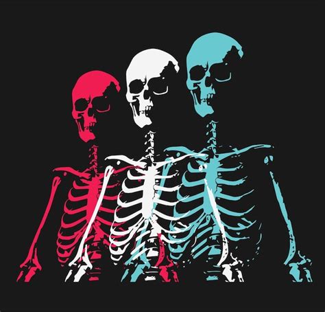 Premium Vector Three Skull Skeleton Color For Poster And Illustration