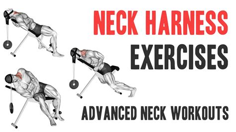 3 Weighted Neck Harness Exercises Advanced Neck Workouts