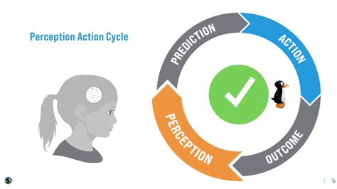 What Is The Perception Action Cycle Youtube