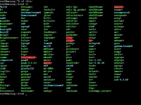 Comandos Linux Curso de terminal avançado Ubuntu Dicas