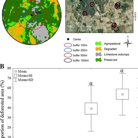 Buffer Areas With 100 250 500 And 1000 M Radius Plotted Around The Download Scientific Buffer Areas With 100 250 500 And 1000 M Radius Plotted Around The Download Scientific