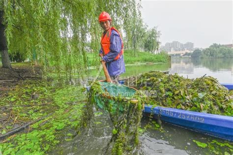 浙江湖州清理漂浮物 应对汛期保畅通 人民图片网