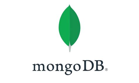How To Seed Mongodb Database From Node The Simplest Way In Plain English
