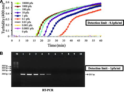 Comparison Between Sensitivity Detection Limit Of Download Scientific Diagram
