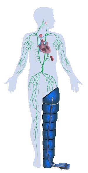 Midwest Compression Home Page