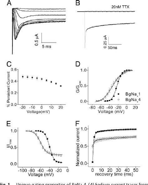 Figure From Persistent Tetrodotoxin Sensitive Sodium Current Resulting From U To C RNA Editing