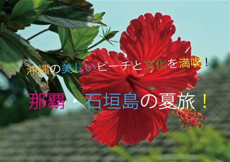 那覇・石垣島の夏旅！ Tokutokusanのお散歩