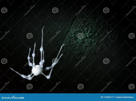 Spider In Cocoon Stock Image Image Of Trapped Mesh 11628177