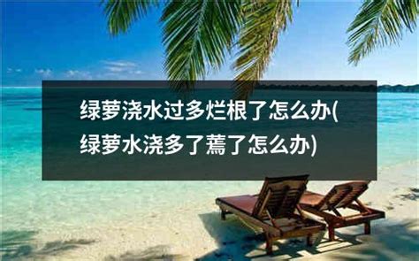 绿萝浇水量 绿萝每次浇水的水量是多少 养花经验
