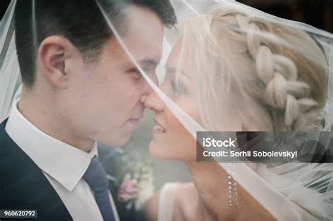 로맨틱 한 웨딩 순간 베일 아래 서로 게 신부 및 신랑 미소 공원에서 자연에 행복 하 고 즐거운 순간 2명에 대한 스톡 사진 및 기타 이미지 Istock