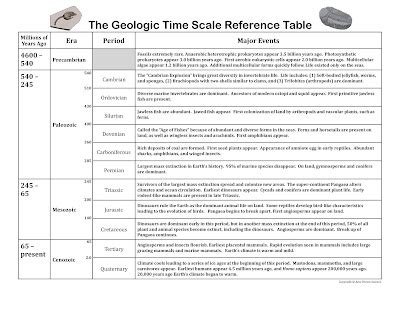 Amy Brown Science Evolution And The Geologic Time Scale Worksheets Library