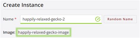 Snapshots And Images Jetstream2 Documentation