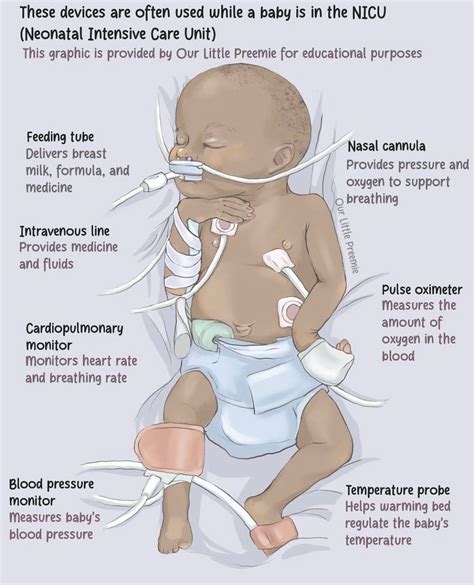 Nicu Vital Signs 101 Artofit