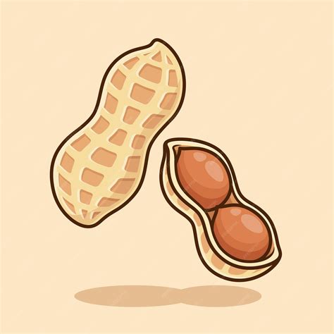 Premium Vector Cute Peanut Vector Cartoon Design Illustration